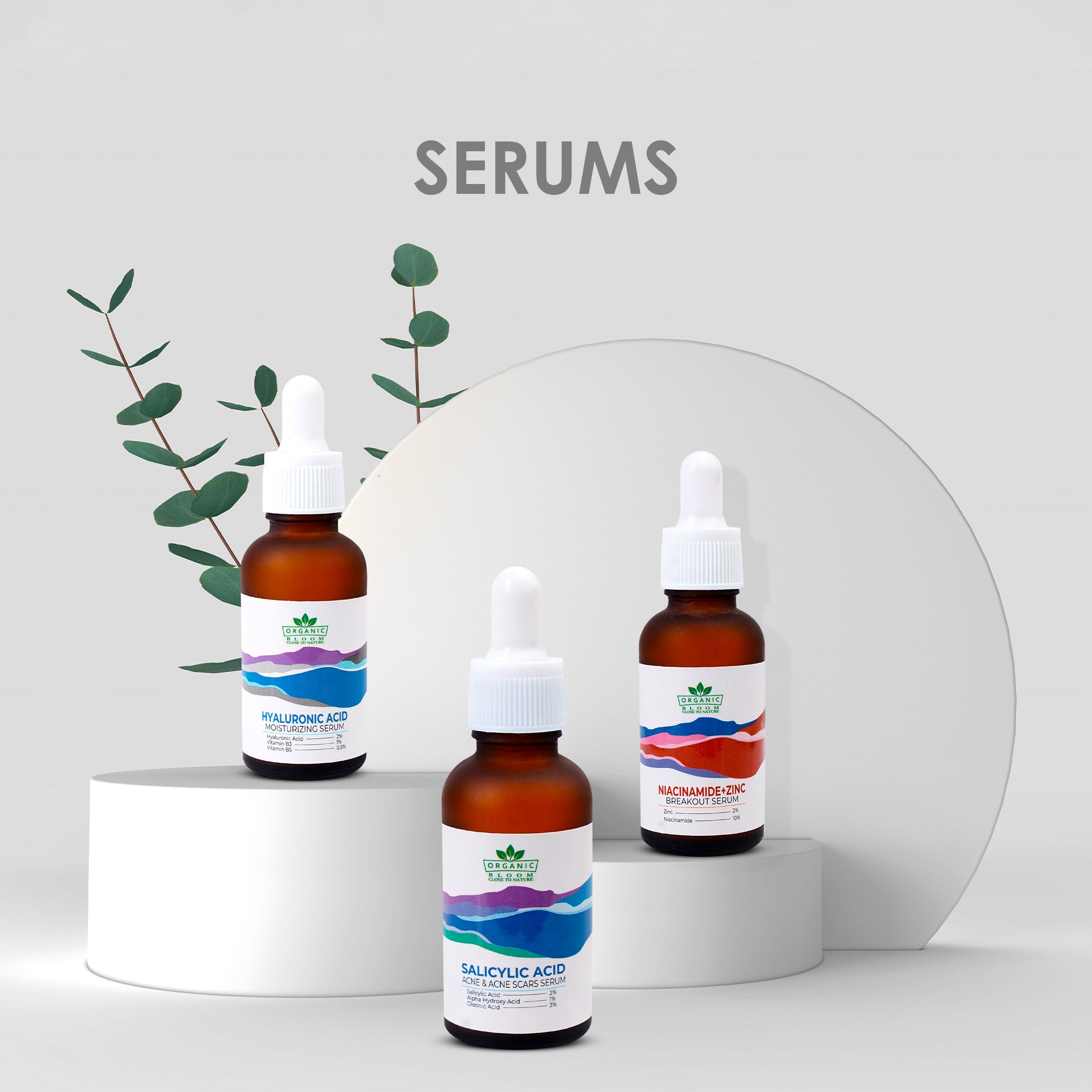 Ance & Open Pores ( zinc niacinamide+ hydraulic+ salicylic) – Organic bloom